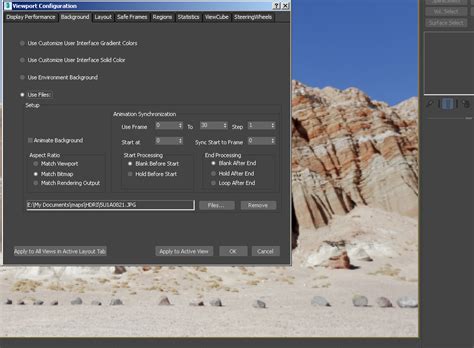 Solved 3ds Max 2020 Backgrownd Viewport Image Problem Autodesk Community