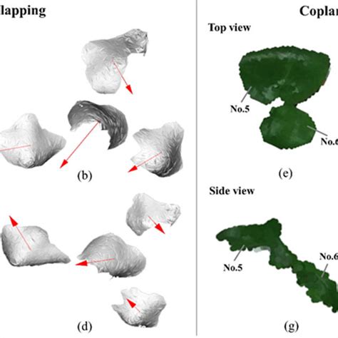 Examples Of Cross Overlapping And Coplanar Overlapping In The Point Download Scientific Diagram