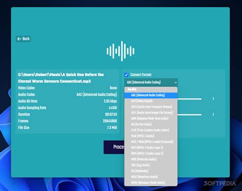 Ffmpeg Ui Download Softpedia Ffmpeg Ui Download Softpedia