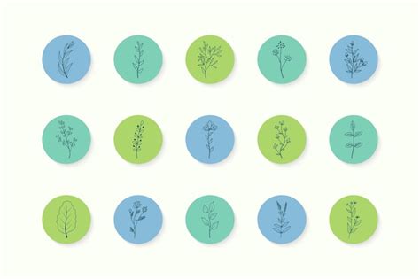 인스 타 그램 스토리 하이라이트 모음 프리미엄 벡터