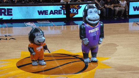 View 15 Phoenix Suns  Artantoniodpc157