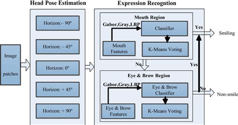 Conditional Random Forest For Spontaneous Smile Recognition Download