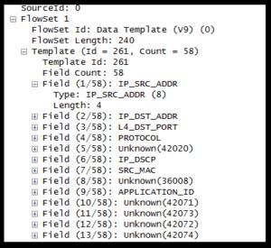 What Is A NetFlow Template Flowset