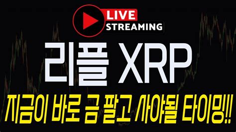 리플 Xrp 긴급속보 지금이 금 팔고 사야될 타이밍 리플 리플코인 리플코인전망 엑스알피 엑스알피코인 엑스알피코인전망 Youtube