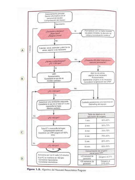 Flujograma Reanimación Neonatal Pdf