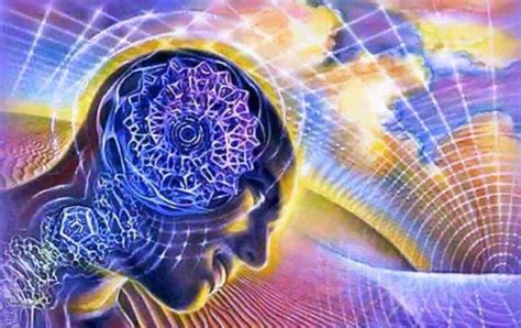 Understanding The Chakra System And 7 Dimensional Vehicles Of Expression Intuitive Empath