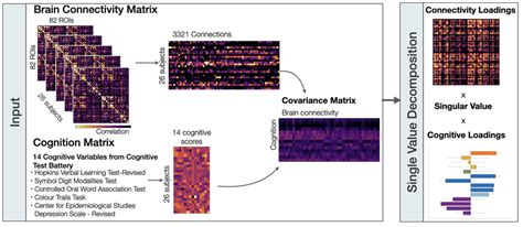 Overview Of Partial Least Squares Analyses Two Partial Least Squares