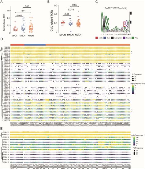 Specific TCRs And VJ Gene Alteration In Metastasis Positive And