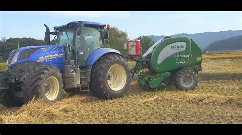 공룡알 만드는 과정 Youtube