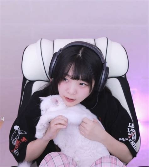 누누 괴롭히는 소풍 치지직 에펨코리아