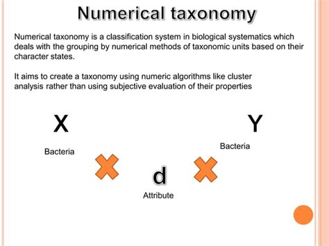 Bacterial Taxonomy Pptx Biological Sciences Science