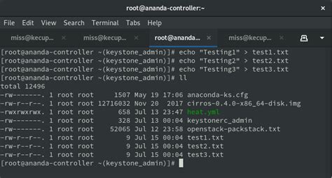 Openstack Launch An Instance Via Cli Part Xi Swift Upload Object Jurnal Misskecupbung