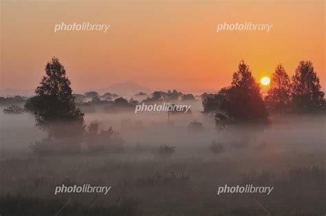 Photolibrary