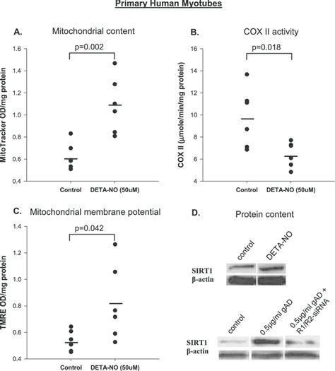 Statistical Dot Plots Showing The Effects Of Deta No And Adiponectin