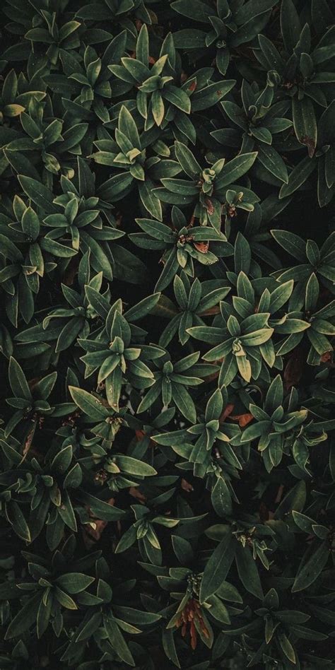 Татьяна Павлова Татьяна Павлова Added A New Photo — In