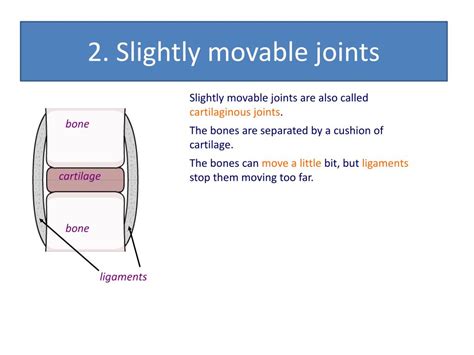 PPT Joints And Their Classifications PowerPoint Presentation Free Download ID 2034225