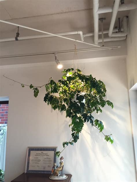 みくに建築 Mikuni みくに建築 Mikuni Added A New Photo