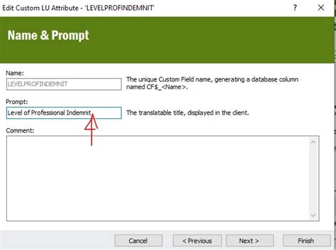 Limit Of 30 Characters In The Default Display Name For An Attribute In A Custom Logical Unit