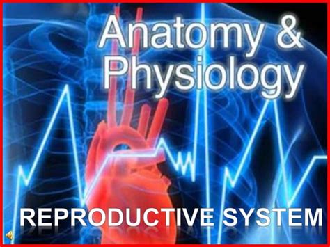 G10 Science Q3 Week 1 The Female Reproductive Systemppt