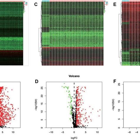 Differentially Expressed Immune Related Genes And Transcription Factors Download Scientific