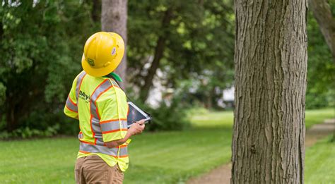 What Can Urban Tree Canopy Analysis Tell You Davey Tree