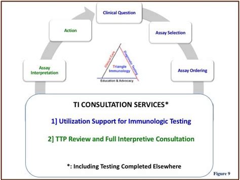 The Total Testing Process Triangle Immunology Ti