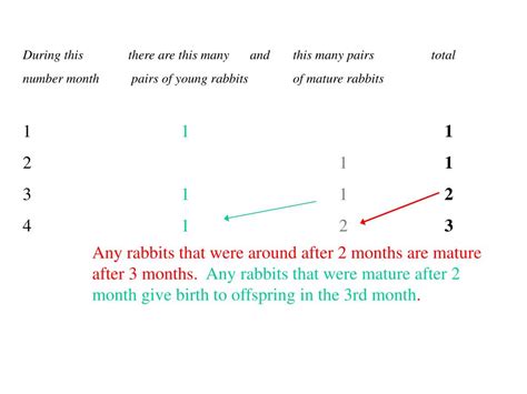 Ppt Fibonaccis Rabbits Powerpoint Presentation Free Download Id 5464450