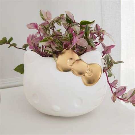 Hello Kitty® Planter Pottery Barn Teen