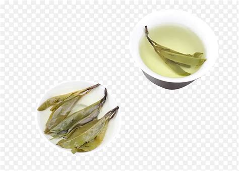 苦丁茶饮茶素材PNG图片素材下载 图片编号qnvroenn 免抠素材网