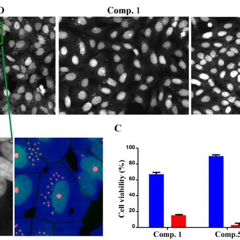 Structures Of The Diamidine Compounds Download Scientific Diagram