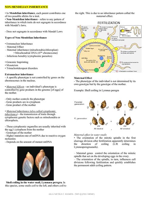 Solution Non Mendelian Patterns Of Inheritance Studypool