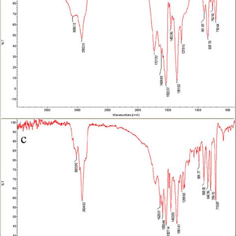 Scanning Electron Microscopy Sem Micrographs 20 000× Of Polymeric Download Scientific