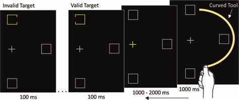Target Discrimination Task Example For A Valid And Invalid Target Trial Download Scientific