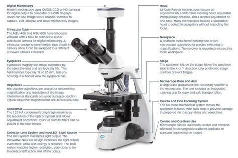 What Is A Compound Microscope Antylia Scientific Blog What Is A Compound Microscope Antylia Scientific Blog