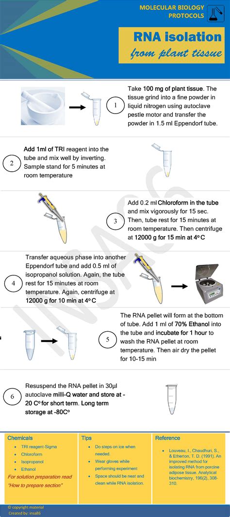 Protocols Rna Isolation Using Trizol Sigma Reagent From Plant Tissue