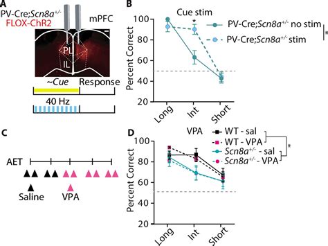 Figures And Data In Prefrontal Pv Interneurons Facilitate Attention And Are Linked To