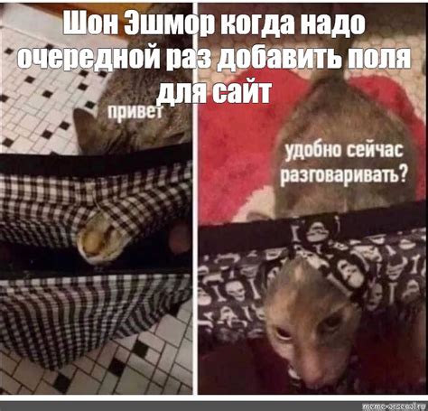 Создать мем "самые лучшие мемы, трусы мемы с котами, котик" - Картинки ...