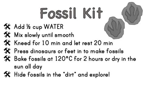 Fossil Kit Taste Safe Lesedi Education