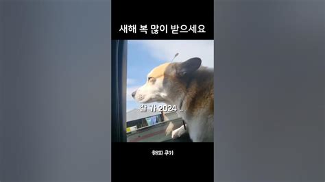 새해 복 많이 받으세요 해피쿠키 Youtube