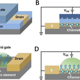 Working Principles Of Fieldeffect Transistor FET Biosensors A Download Scientific Diagram