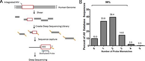 Probe Based Sequence Enrichment A An Overview Of The Probe Based