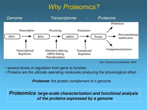 Ppt Proteomics Powerpoint Presentation Free Download Id 3506848