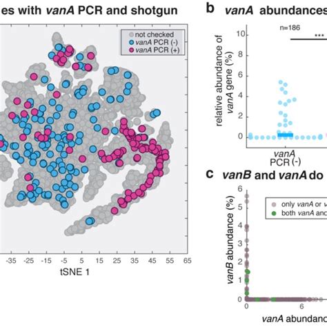 The Shotgun Sequencing Detects The Presence Of Antibiotic Resistance