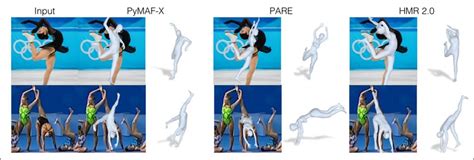 Improving Human Pose Extraction With Transformers Metaphysic Ai
