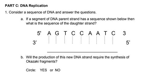 Solved PART C DNA Replication 1 Consider A Sequence Of DNA Chegg Com