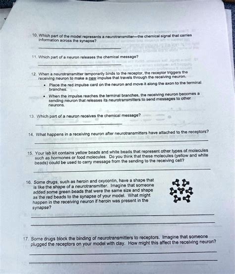 Solved 11 Which Part Of A Neuron Releases The Chemical Message 12 When A Neurotransmitter