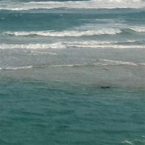 천명 안된사람 하트만 눌러도 스하리 하러 갈게 🔥🔥 다같이 1000명 가자🎈🎈 난 뒷삭은 절대 안해 스하리 1000명프로젝트