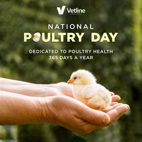 Dr Srijit Tripathi Posted On Linkedin