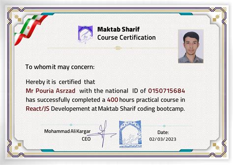 Pourya Asrzad Frontend Developer Rdmc Ai Digital Marketing