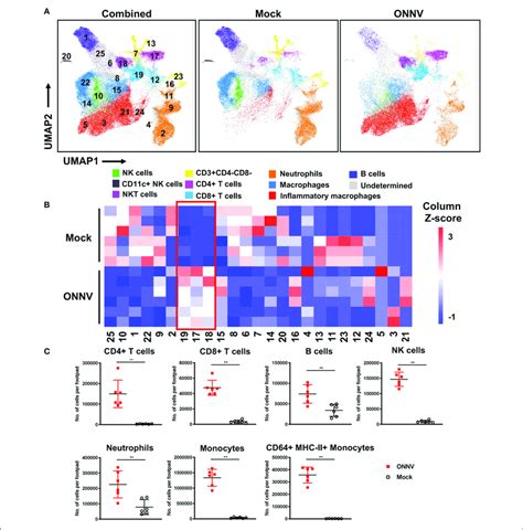 High Dimensional Analysis Of Flow Cytometry Data Reveals Differences Download Scientific